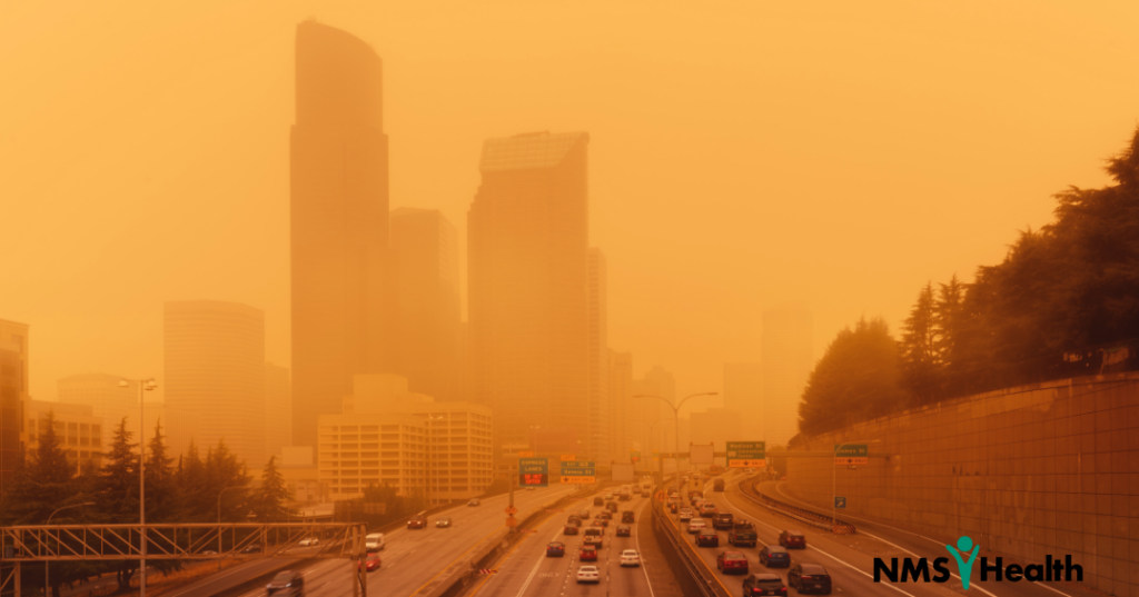 Breathing Easy: Navigating Wildfire Smoke Risks - NMS Health